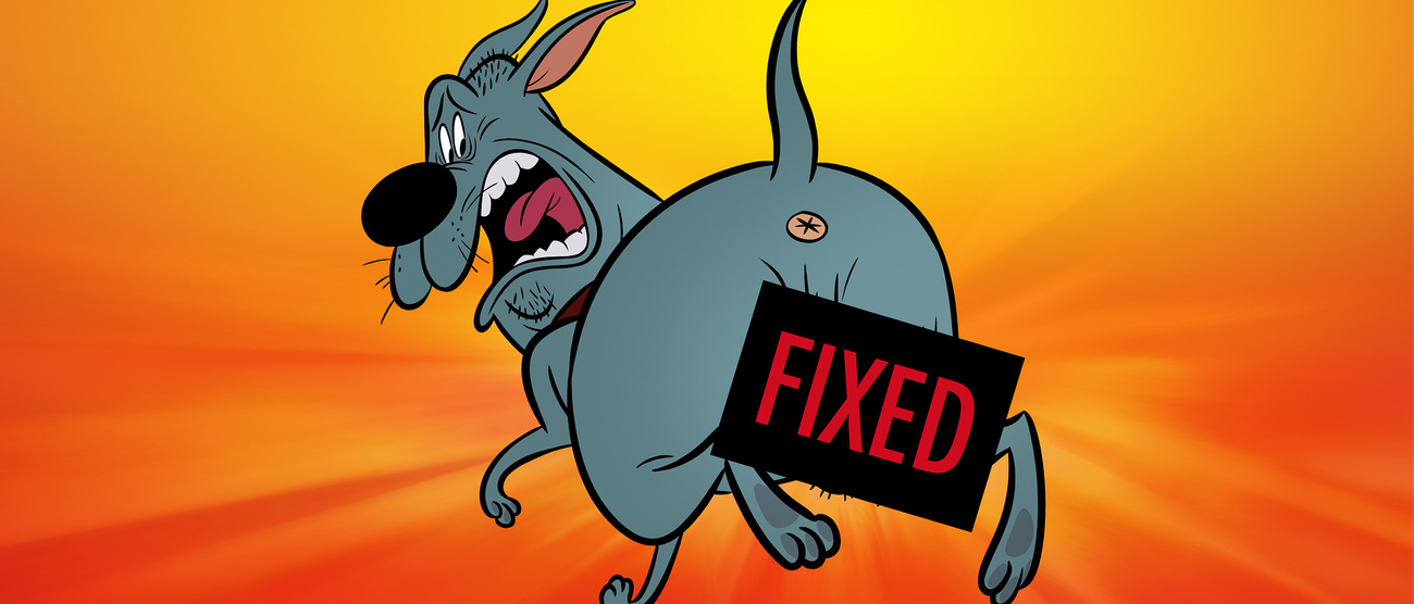 FIXED | Sony Pictures Animation